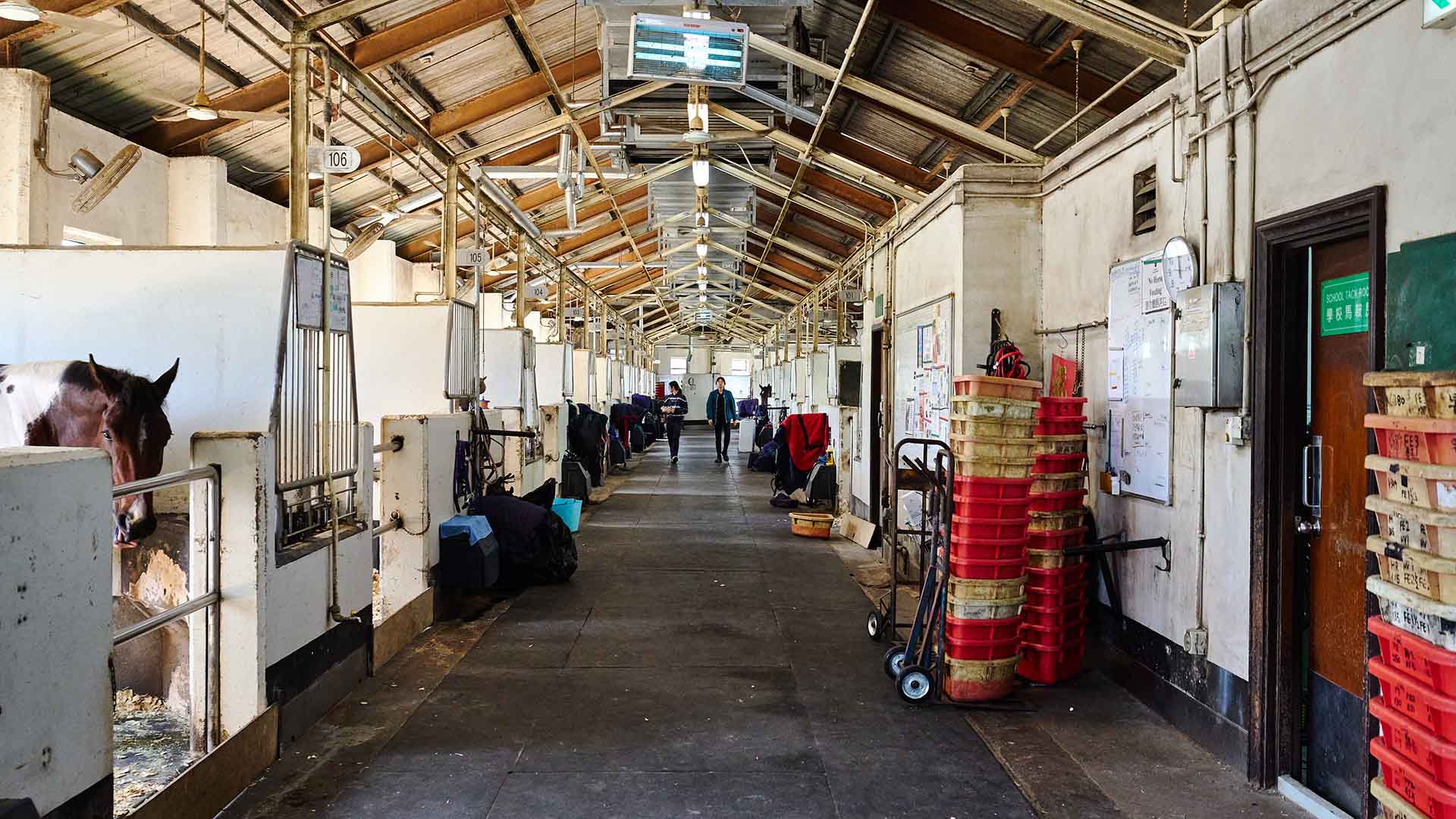 Stable Backstage Pass: Visiting Ponies' Home - Experience - Members ...