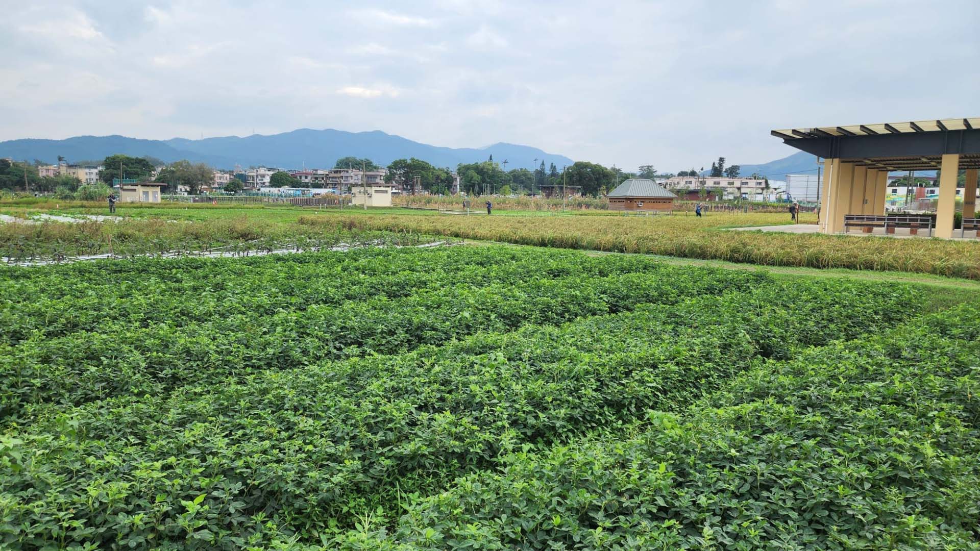 Discover Long Valley: A Natural Haven Steps from Beas River ...